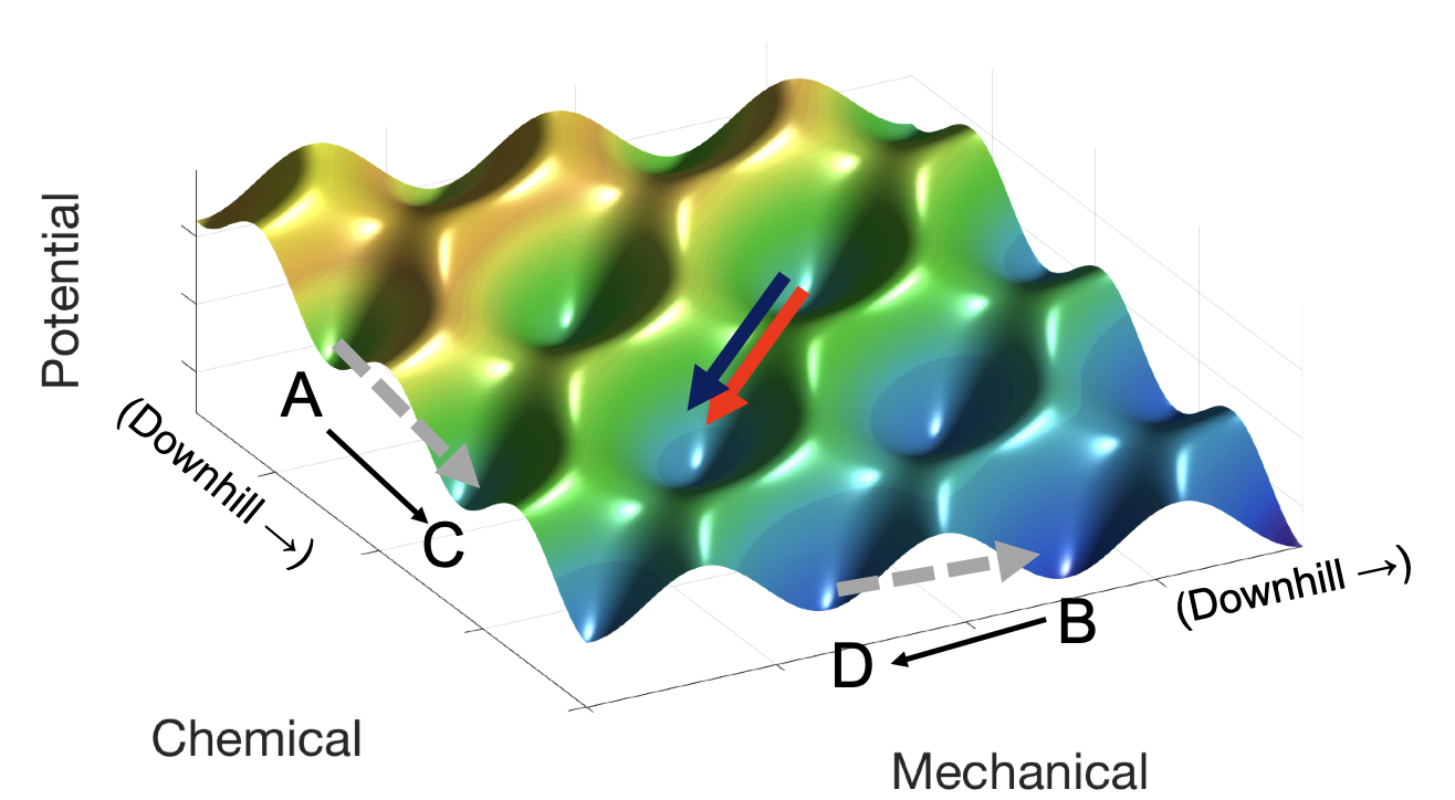 ENERGY PHYSICS GROUP – Department of Physics
